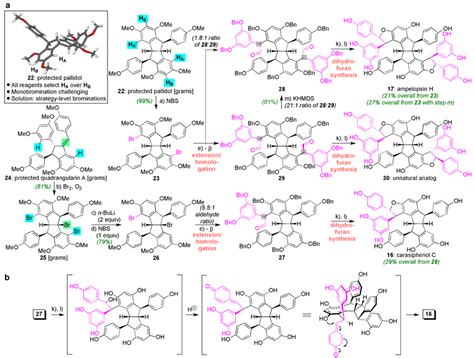 A Development Of A Strategy Level Approach For Selective Brominations