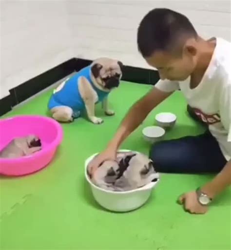 Sahil Choudhary On Linkedin Wonderful