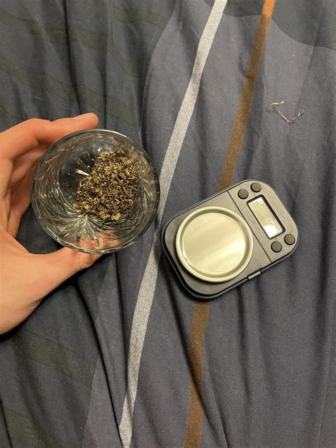 Guess The Amount 🍄 Scale For Scale R Shrooms