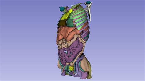 Visual Foundation Models For Medical Image Analysis Nvidia Technical Blog