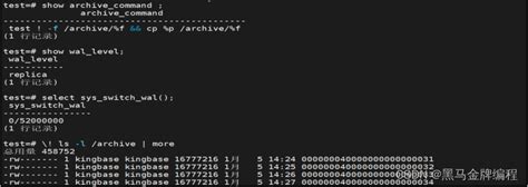 人大金仓数据库的归档日志kingbase开启归档 Csdn博客