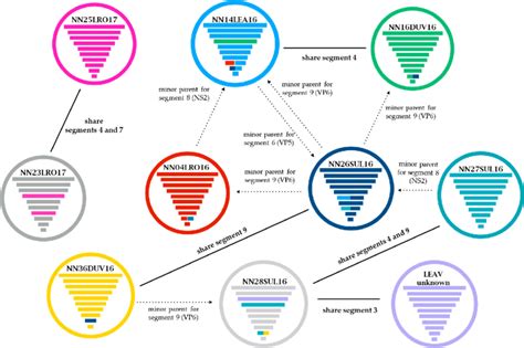 Graphical Representation Of Gene Reassortment And Intragenic