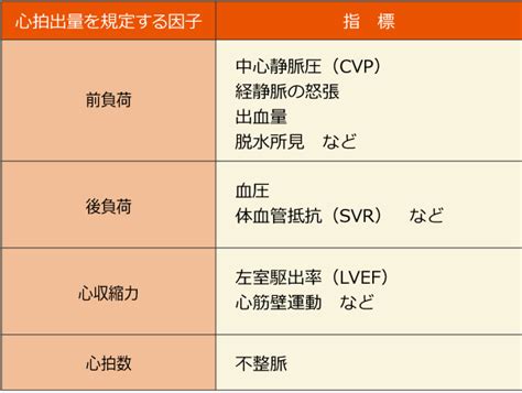 心拍出量 看護師の用語辞典 看護roo カンゴルー