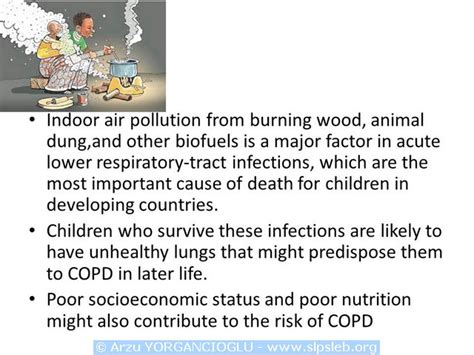 Copd Risk Factors Other Than Cigarettes Arzu YorgancioĞlu