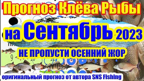 Календарь рыбака на Сентябрь 2023 Прогноз клева рыбы на Эту неделю Лунный календарь рыбака Youtube