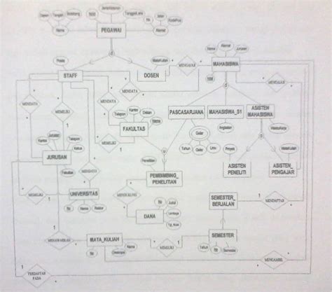 Enhanced Entity Relationship Diagram Eerd ~ Chrysanthemum Titanium