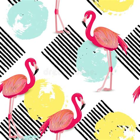 Modelo Incons til Con Los Flamencos Rosados Ilustración del Vector Ilustración de animal