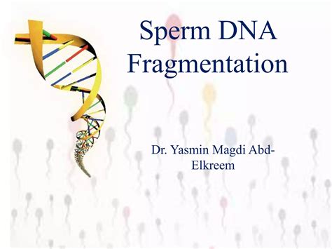 Sperm Dna Fragmentation Ppt