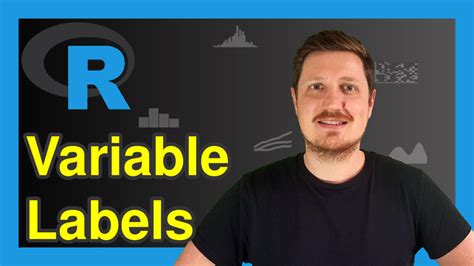 Add Variable Labels To Data Frame In R Example Assign Text To Column