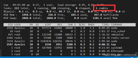 linux 如何产生孤儿进程和僵尸进程 kill 孤儿进程怎么产生 csdn博客