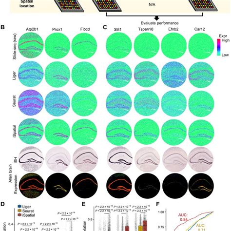 Ispatial Enables Whole Transcriptome Level Spatial Analysis A