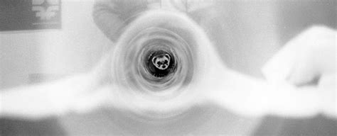 Bizarre True Story Physicists Once Put A Ferret In A Particle Accelerator Science News