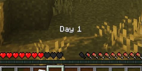 Day Counter Fabric Forge Quilt Neoforge Minecraft Mods CurseForge