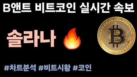 비트코인실시간 1222 솔라나 10 이상 반등 캐시우드 일론머스크와 X 스페이스 진행비트코인 관련 대화 암시 비트코인 비트코인실시간 리플 이더리움