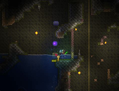 Where Nymph Rterraria
