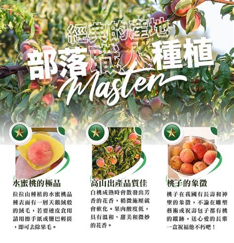 正宗拉拉山水蜜桃 菓寶食官方網站
