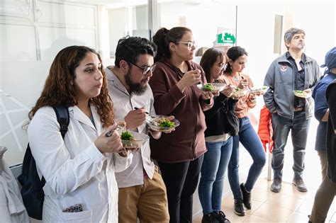 Fideos Con Algas Marinas Alternativa Saludable Y Sostenible El Valle