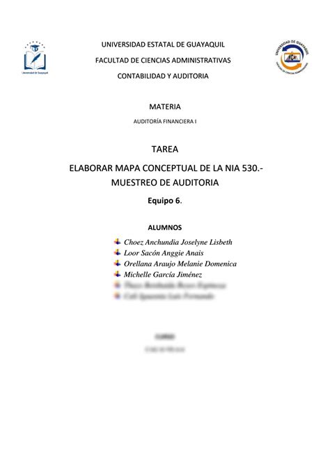 SOLUTION Nia Muestreo De Auditoria Studypool