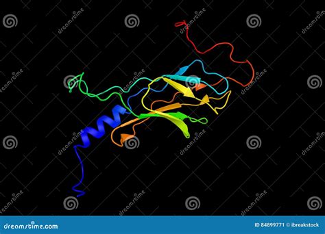 Fibronectin Type Iii Domain Containing Protein 3a Is A Protein T Stock