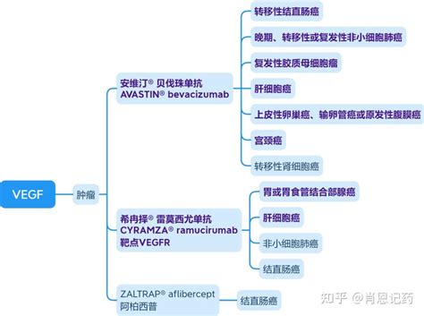 记住所有FDA生物药 抗肿瘤VEGFR 贝伐珠单抗雷莫西尤单抗阿柏西普等 实体肿瘤 知乎