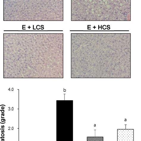 Effects Of Cirsium Setidens Ethanol Extract Cs On The Protein Levels