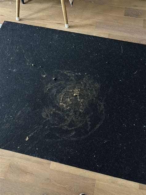 It Seems The Object Detection Doesnt Work As Well As I Hoped It Would