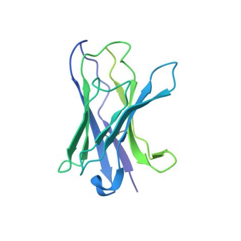 Rcsb Pdb 8ct6 1f8 Mab In Complex With The Computationally Optimized