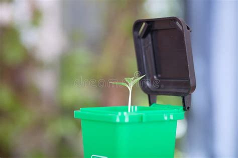 In The Garbage Sorting The Model Of The Green Trash Can Containing