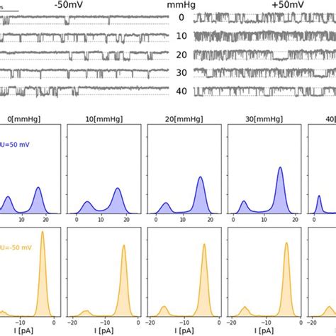 A The Samples Of The Original Signal Of Ionic Current Recorded From A Download Scientific