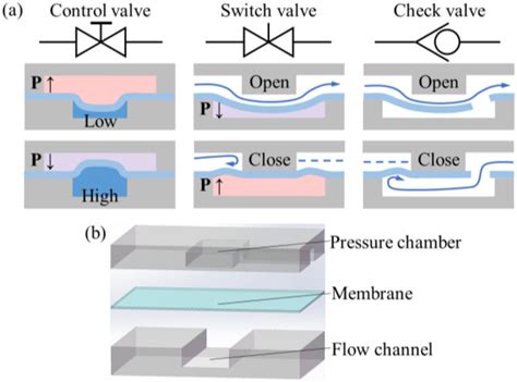 a the classic applications of 3 layer microfluidic functional units