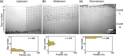 Figure 1 From Microfluidic Coupling Of Step Emulsification And Deterministic Lateral