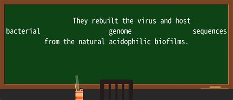 Explicación Detallada De Bacterial Genome” Significado Uso Ejemplos