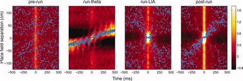 Cross Correlograms Of Cell Pairs Exhibiting Place Fields During