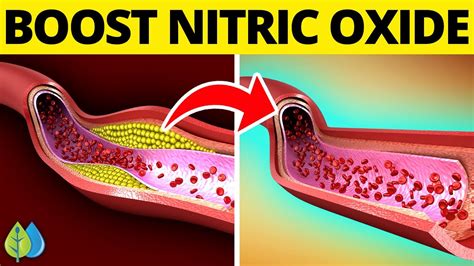 3 Foods That Boost Nitric Oxide Increase Nitric Oxide Production