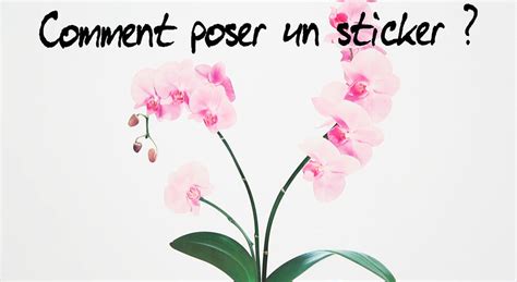 tuto vidéo comment poser sticker Maison Travaux