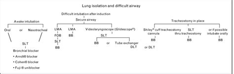 Lung Isolation And Difficult Airway Download Scientific Diagram