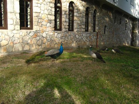 Екскурзия до Македония и Албания