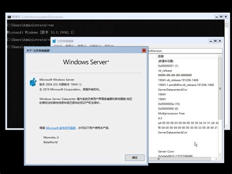 Windows Server 2019 10 0 19041 1 Vb Release 191206 1406 Betaworld 百科