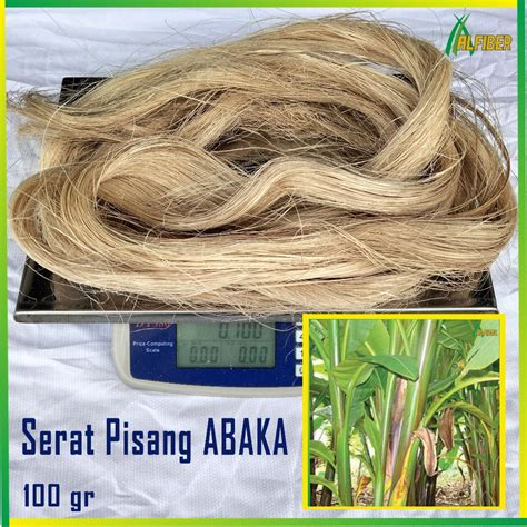 Jual Serat Pisang Abaka Serat Alam Dari Batang Pisang Abaka Alami Tanpa Bahan Kimia 100 Gr