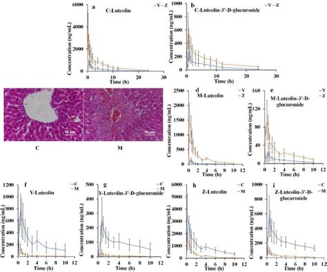 β Cyclodextrin Metal Organic Framework As A Green Carrier To Improve The Dissolution