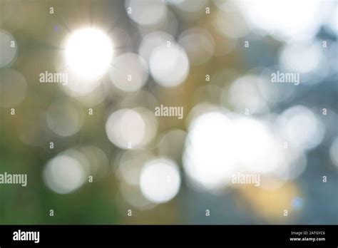 Abstract Nature Background Bright Blurry Natural Greenery Bokeh