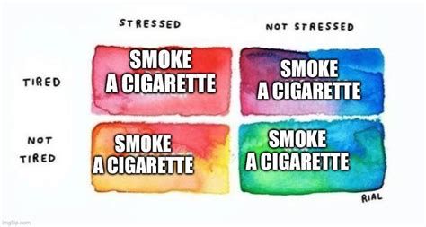 Bug Tobacco Rule R19684