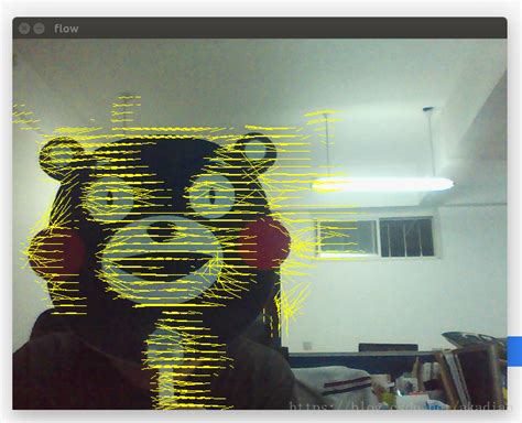 Opencv3python 稠密光流calcopticalflowfarnebackpython Opencv Calcopticalflowfarneback Csdn博客