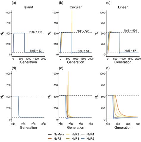 Effect Of Subpopulation Extinction On Metapopulation Effective Size Download Scientific Diagram