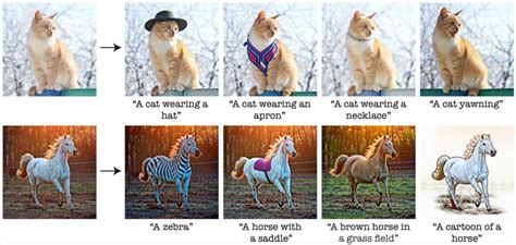 Imagic Ai Image Editing From Text Commands Hackernoon