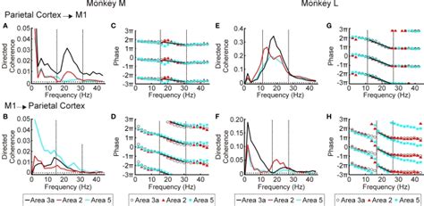 Lfpm1 Lfp Directed Coherence A Directed Coherence Spectra For