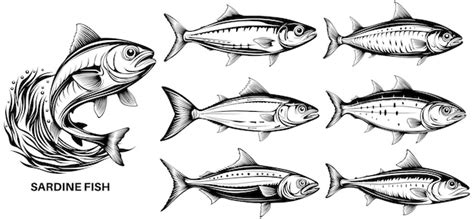 Premium Vector Set Sardine Fish Icon Logo Design Vector Illustration
