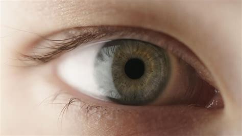 Geneonline On Linkedin New Gene Therapy Drug For Inherited Retinal Dystrophy Released In Japan