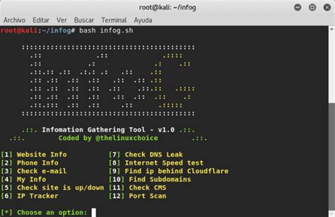 InfoG Herramienta Para Information Gathering EsGeeks