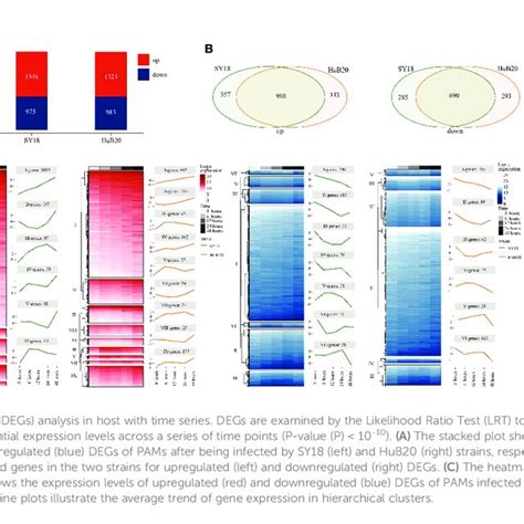 Expression Analysis And Functional Classification Of Asfv Genes A Download Scientific
